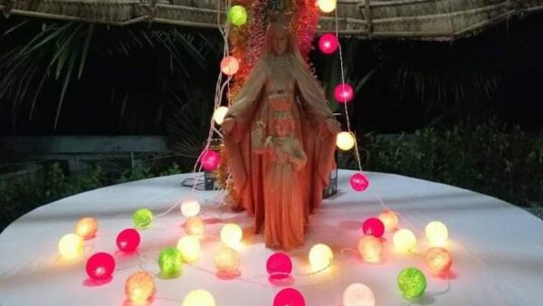 Honouring the Feast Day of Our Lady of the Sacred Heart 2021 ...